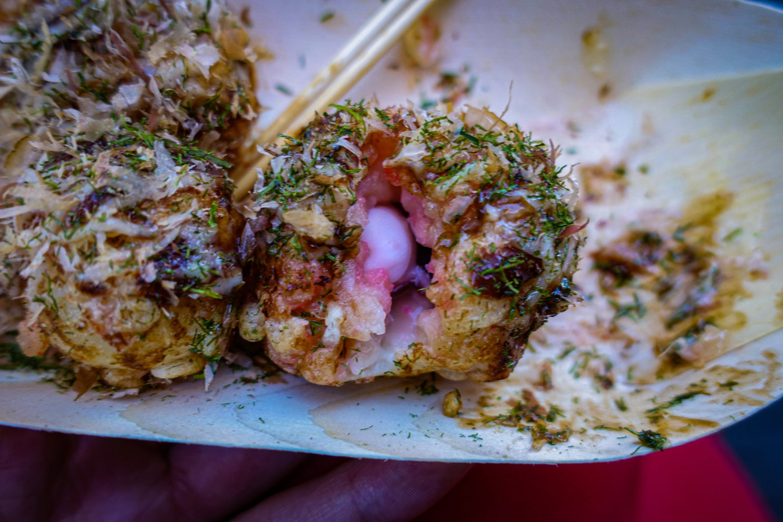 Takoyaki of Dotonbori - MX Chronicles