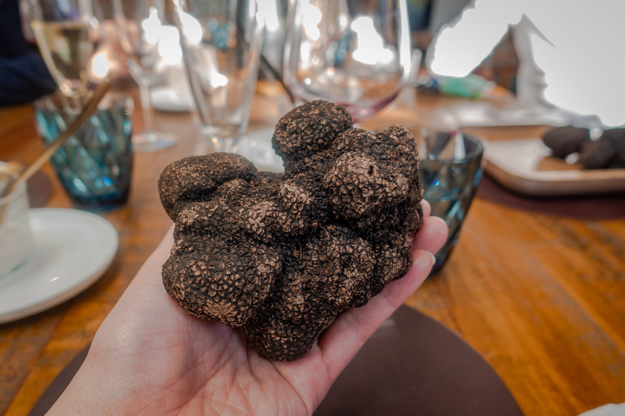 The Truffle Farm: Degustation 2020 - MX Chronicles