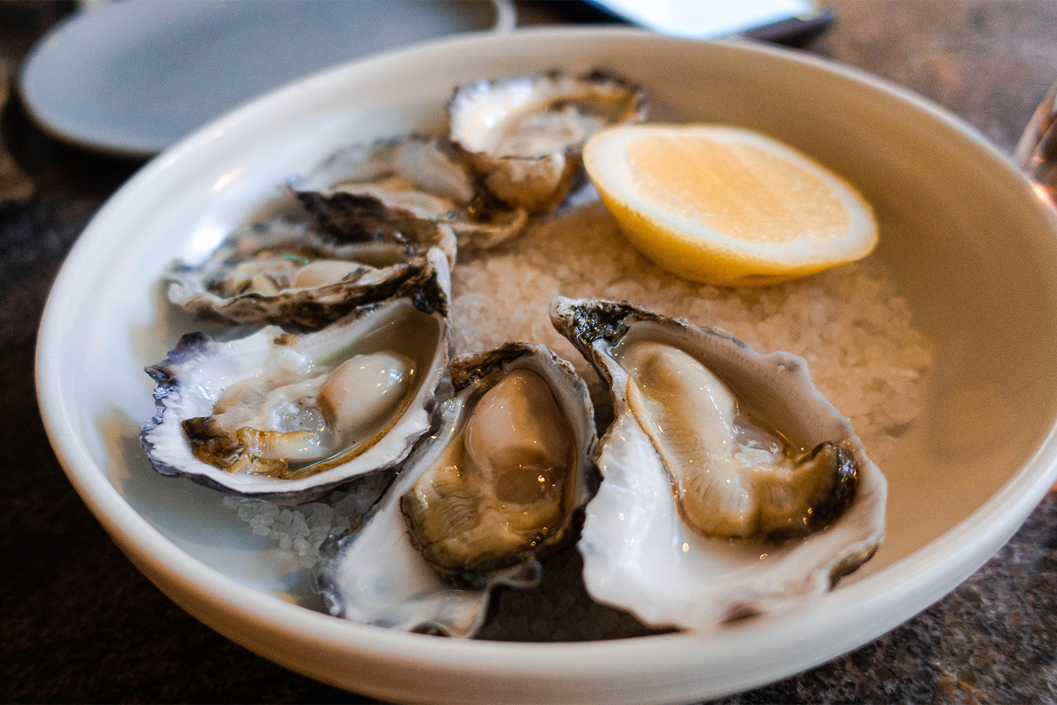 Monopole - MX Chronicles