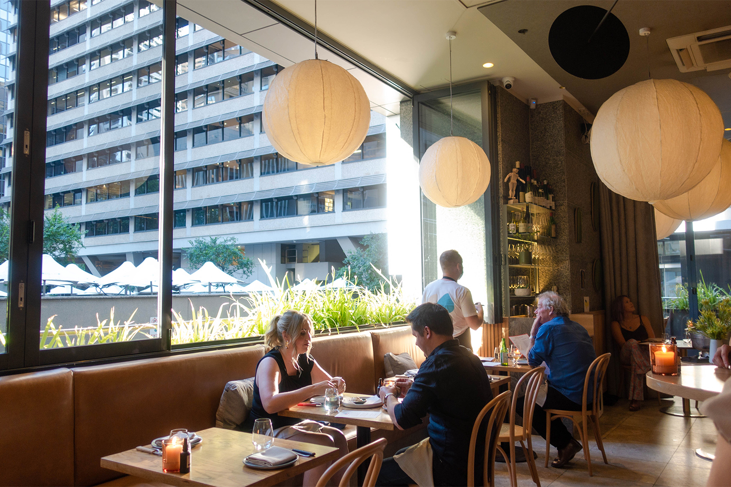 Monopole - MX Chronicles