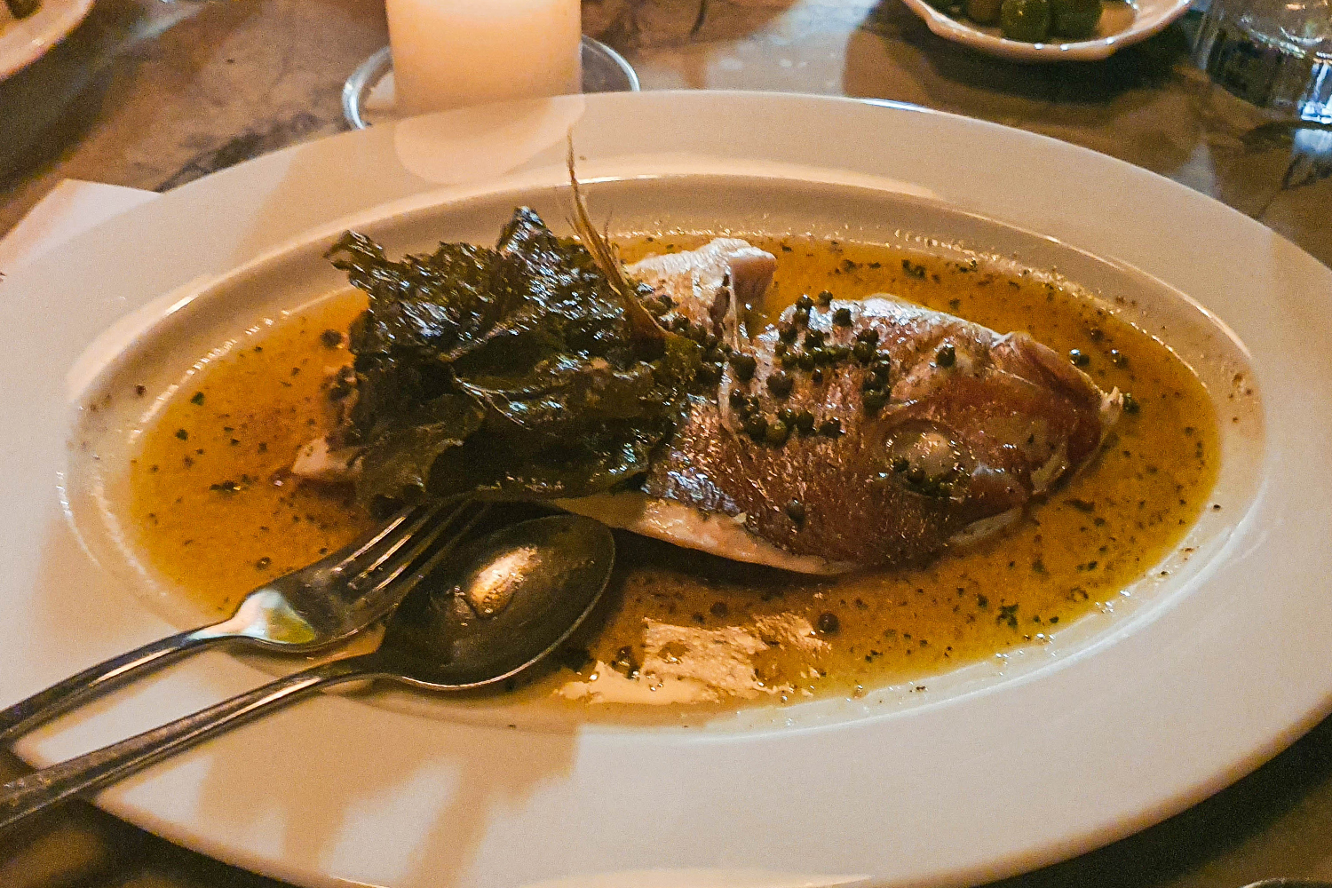 The Apollo - MX Chronicles