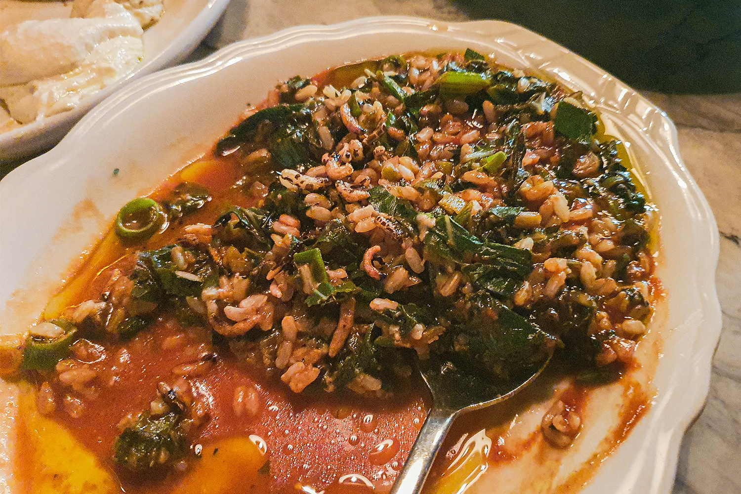 The Apollo - MX Chronicles