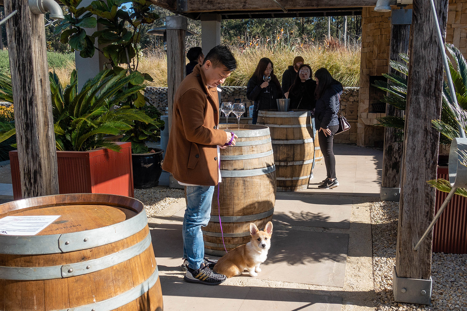 Piggs Peake Winery - MX Chronicles