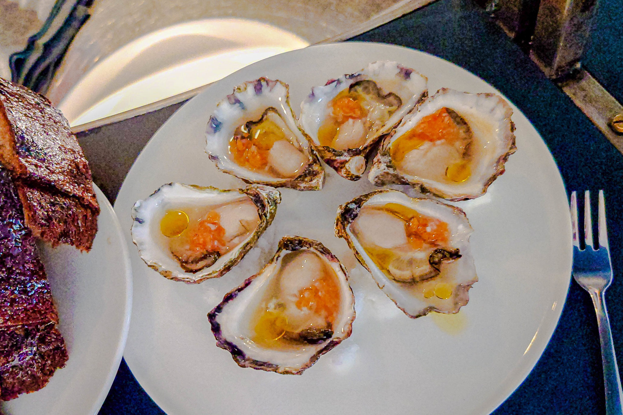 Cafe Paci - MX Chronicles