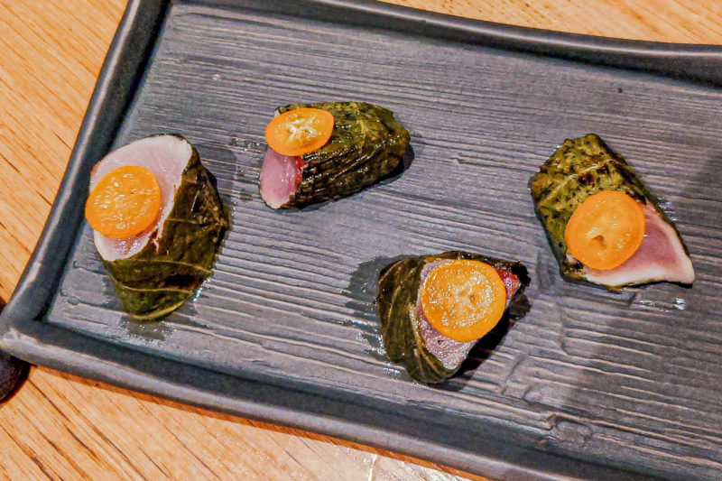 Firedoor - MX Chronicles