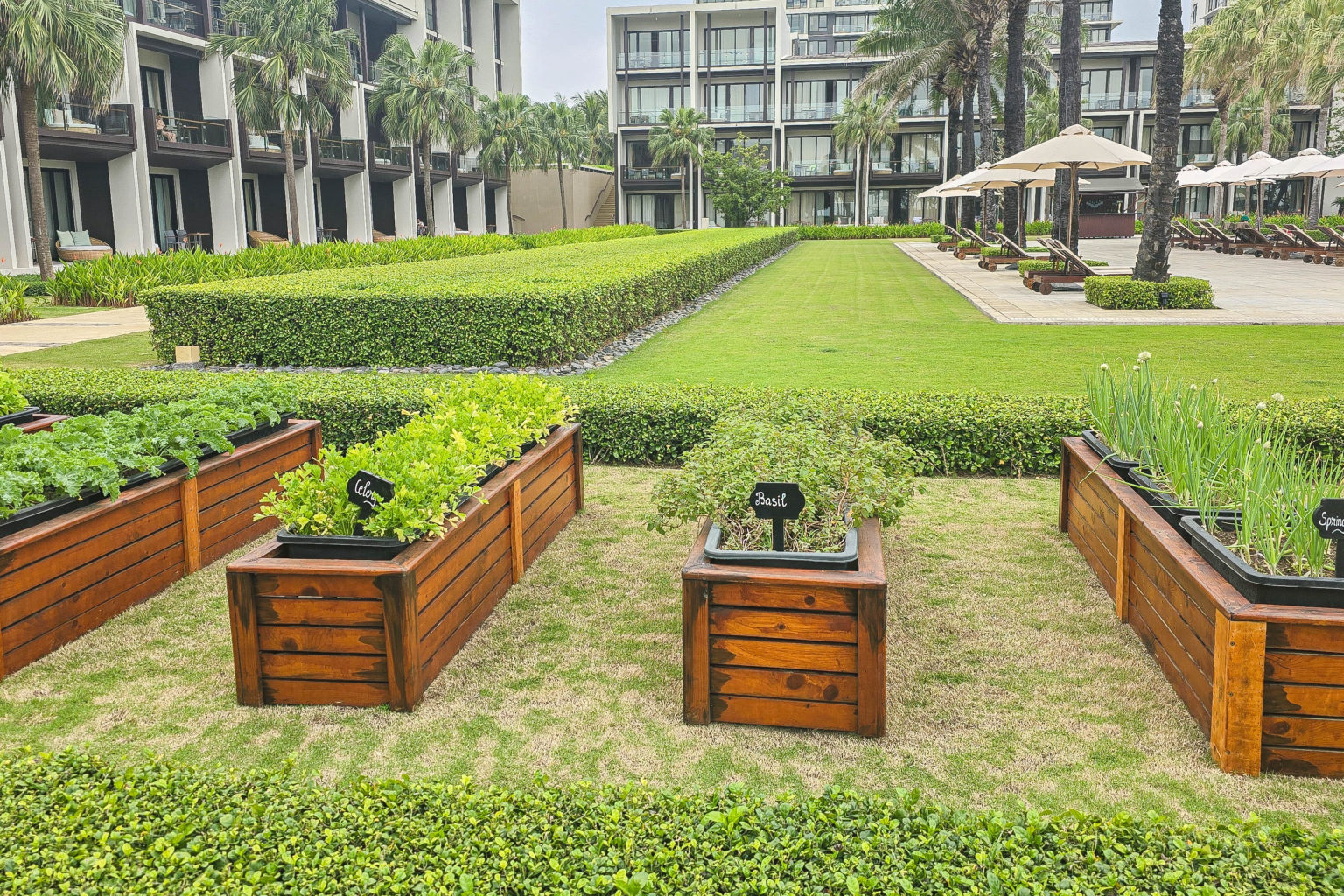 Hyatt Regency Danang Resort And Spa - MX Chronicles