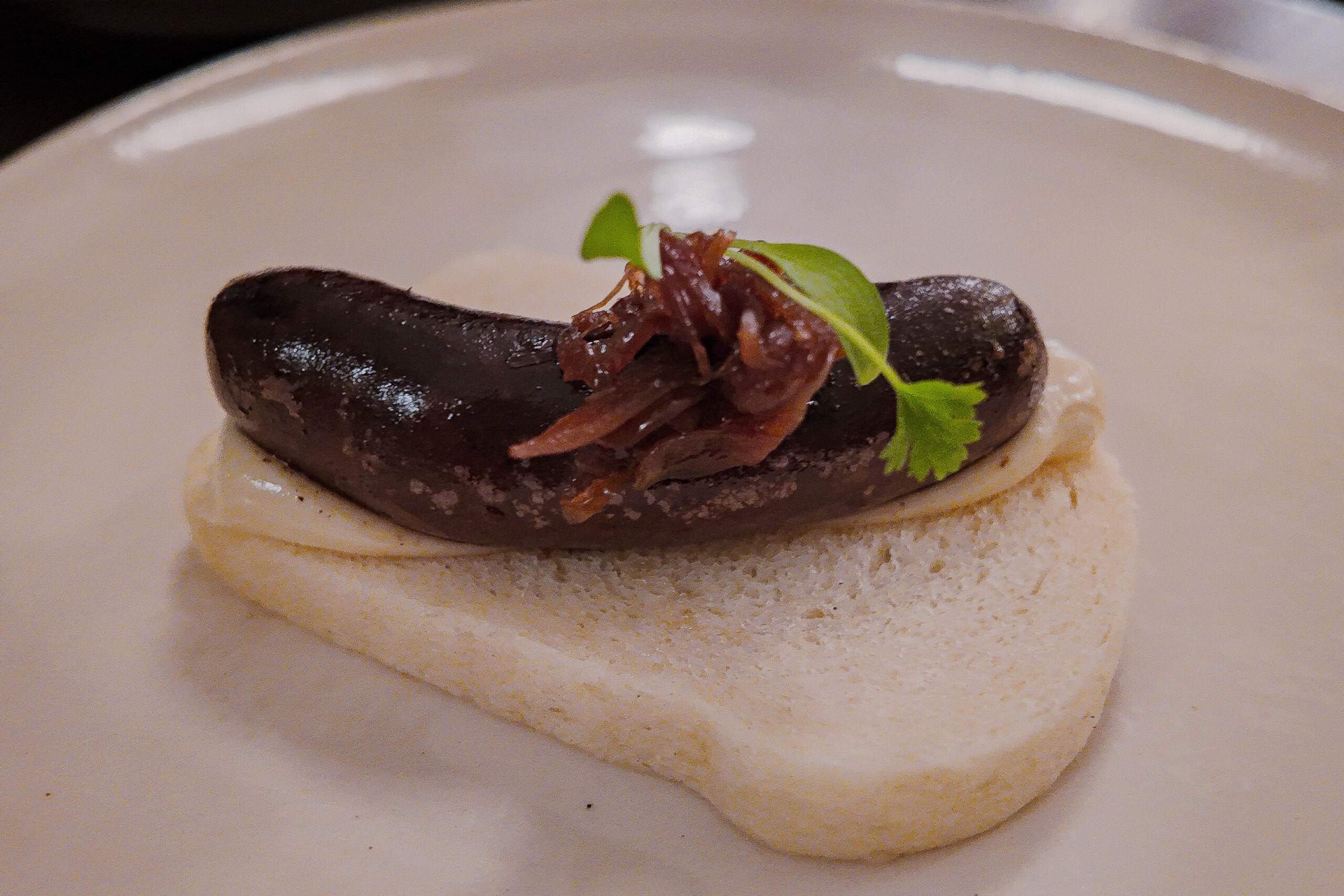 Ester - MX Chronicles